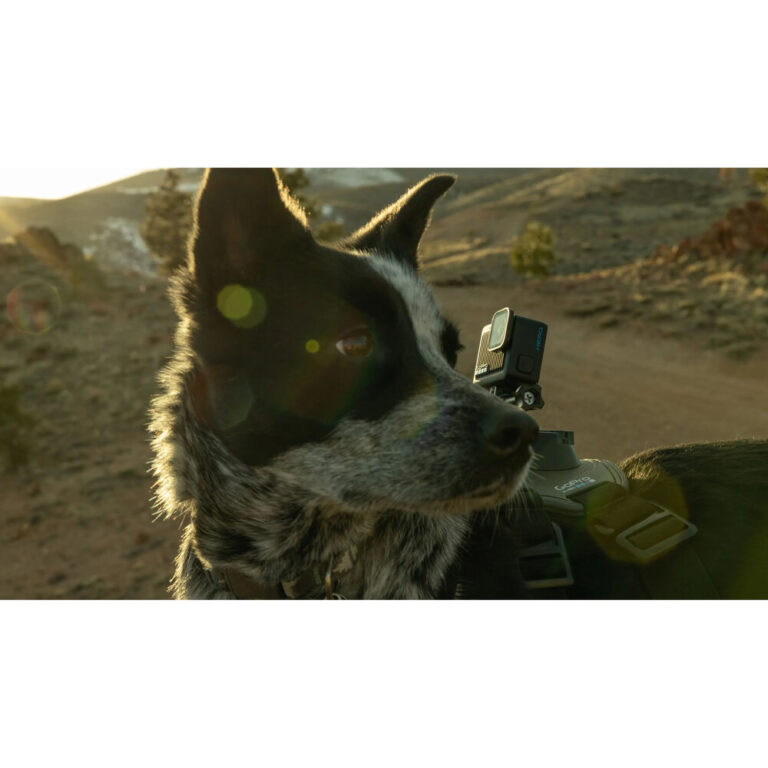 Cámara GoPro HERO Fraction 13 Mini 4K/UHD - GoPro - Tienda oficial